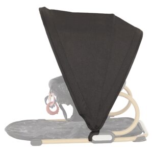 dream on me snug n' play canopy, black