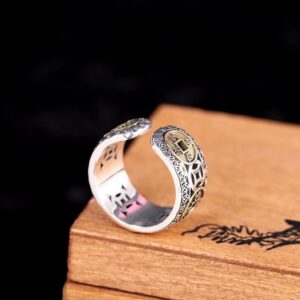 JUNTEN Feng Shui Coin Rings 925 Sterling Silver Lucky Wealth Money Ring Band for Men Women for Attracting Fortune Success