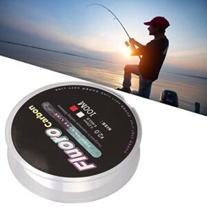 Gaeirt Super Strong Fishing Line, Straight Lightweight 100M Nylon Fishing Line High Strength for Reservoir Fishing(#2.0)