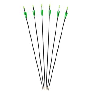 NC93 31Inch Archery Target Practice Arrows Fiberglass Arrows for Youth Children Beginner Recurve Bow Traditional Bow Shooting (6pcs) (Green)