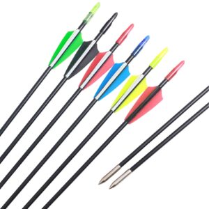 NC93 31Inch Archery Target Practice Arrows Fiberglass Arrows for Youth Children Beginner Recurve Bow Traditional Bow Shooting (6pcs) (Green)