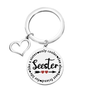 faadbuk seester noun gift sister gift seester definition keychain step sister gift big sis lil sis gift (seester noun)