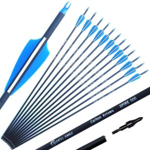 colorful eagle archery carbon arrow hunting target practice arrows 28 30 31 inch with removable tips for compound & recurve bow spine 500 (6/12pcs) (6 pcs 28 inch)