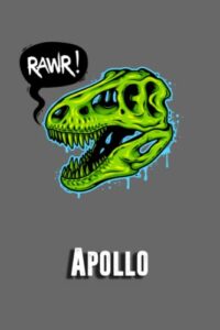 apollo:draw and write journal for boys kids: cool dinosaur dino rawr journal for boys kids, personalized name journal for boys, happy birthday gift ... for boys 6x9 half blank half lined pages