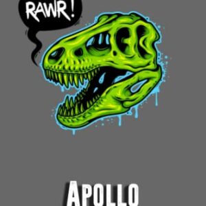 Apollo:Draw and Write Journal for Boys Kids: Cool Dinosaur Dino Rawr Journal for Boys Kids, Personalized Name Journal for Boys, Happy Birthday Gift ... for Boys 6x9 Half Blank Half Lined Pages