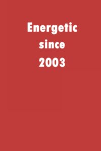 energetic since 2003: a good notebook gift for who's born in 2003, blank lined notebook journal - 120 pages - 6 x 9 inches