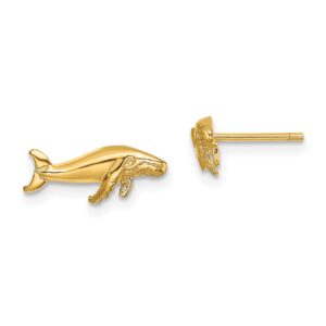 avariah 10k yellow gold whale post earrings - 13.1mm