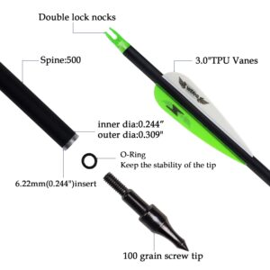 31inch Carbon Arrow Archery Targeting Practice Hunting Arrows for Compound & Recurve Bow with Removable Tips(Pack of 12) (Green White)