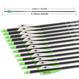 31inch Carbon Arrow Archery Targeting Practice Hunting Arrows for Compound & Recurve Bow with Removable Tips(Pack of 12) (Green White)