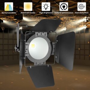 BETOPPER Stage Spotlight with/Barn Door, 200W COB Stage Light, Warm & Cold White LED DMX Light, Master-Slave Spot Light Strobe Lighting, Fresnel Lights for Church Wedding Theater Photo Studio(1 Pack)