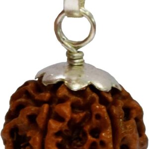 Astrodivine 21 Mukhi Rudraksha Original Certified Pendant Sterling Silver Real Nepal Bead Genuine Rudraksh Fruit 21 मुखी रुद्राक्ष पेंडल