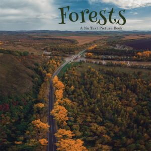 forests, a no text picture book: a calming gift for alzheimer patients and senior citizens living with dementia (soothing picture books for the heart and soul book 81)