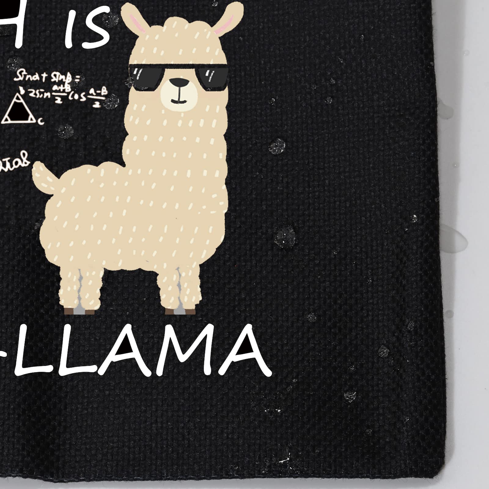 MBMSO Math Teacher Tote Bag Math is no Prob Llama Tote Bag Funny Llama Gifts for Math Lover Llama Lover Mathematician Gifts (Math Llama TB-black)