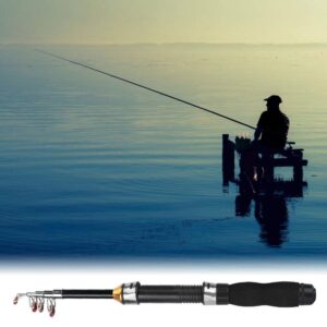 Fishing Rod, Telescopic Fishing Rod Collapsible Fishing Pole Sea Pole Portable Short Pole Ice Fishing Rod Pocket Sea Fishing Tools for Ice Fly Fishing Sea Saltwater Freshwater Kit Gift Festivals