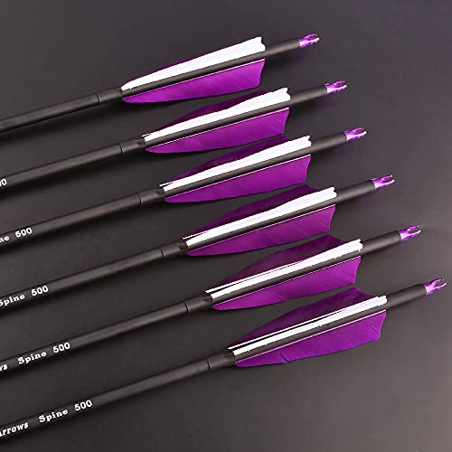 ZSHJGJR 30 Inch Archery Carbon Arrows Hunting Arrows with 4” Turkey Feather Target Practice Arrows Spine 500 for Compound & Recurve &Traditional Bow 6/12pcs (12 x purple arrows)