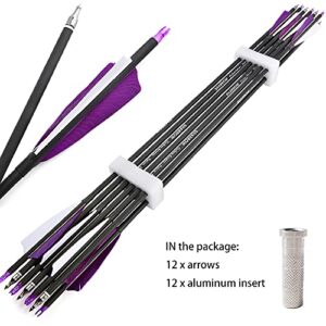 ZSHJGJR 30 Inch Archery Carbon Arrows Hunting Arrows with 4” Turkey Feather Target Practice Arrows Spine 500 for Compound & Recurve &Traditional Bow 6/12pcs (12 x purple arrows)