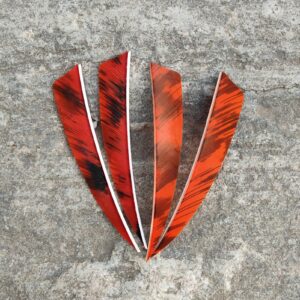 HANDBAIGE 36pcs 4-Inch Shield Cut Natural Feathers Arrow Real Fletchings Archery Right Wing Vanes Arrow Turkey Fletches for Hunting and Shooting (Orange)