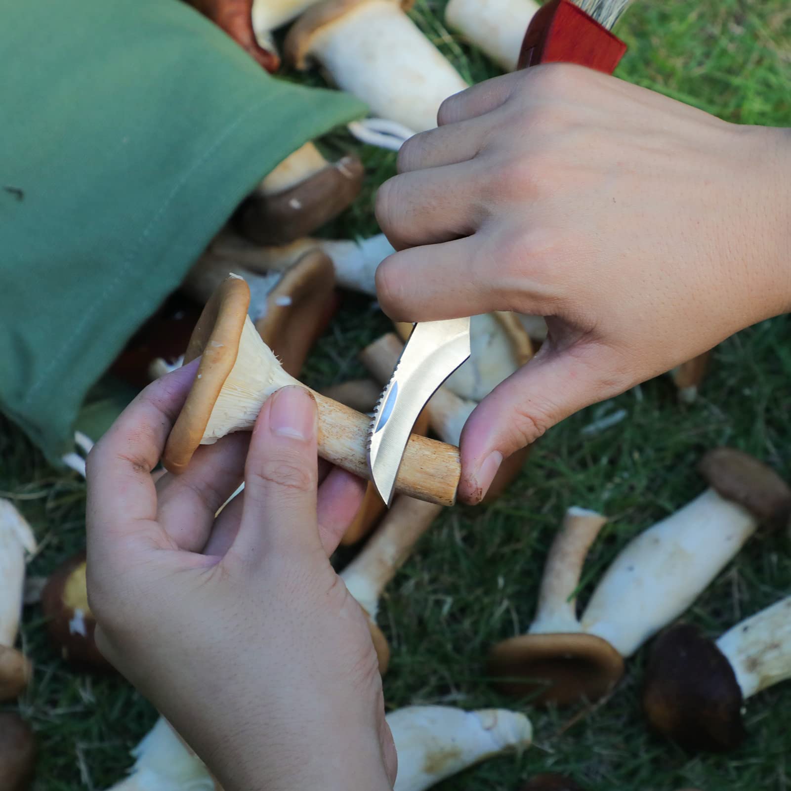 Foxyoo Mushroom Foraging Kit – Includes Foraging Bag, Mushroom Knife with Brush for Mushroom Hunting, Collecting