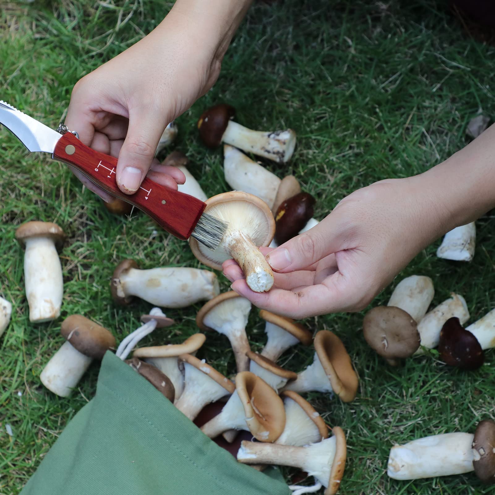 Foxyoo Mushroom Foraging Kit – Includes Foraging Bag, Mushroom Knife with Brush for Mushroom Hunting, Collecting