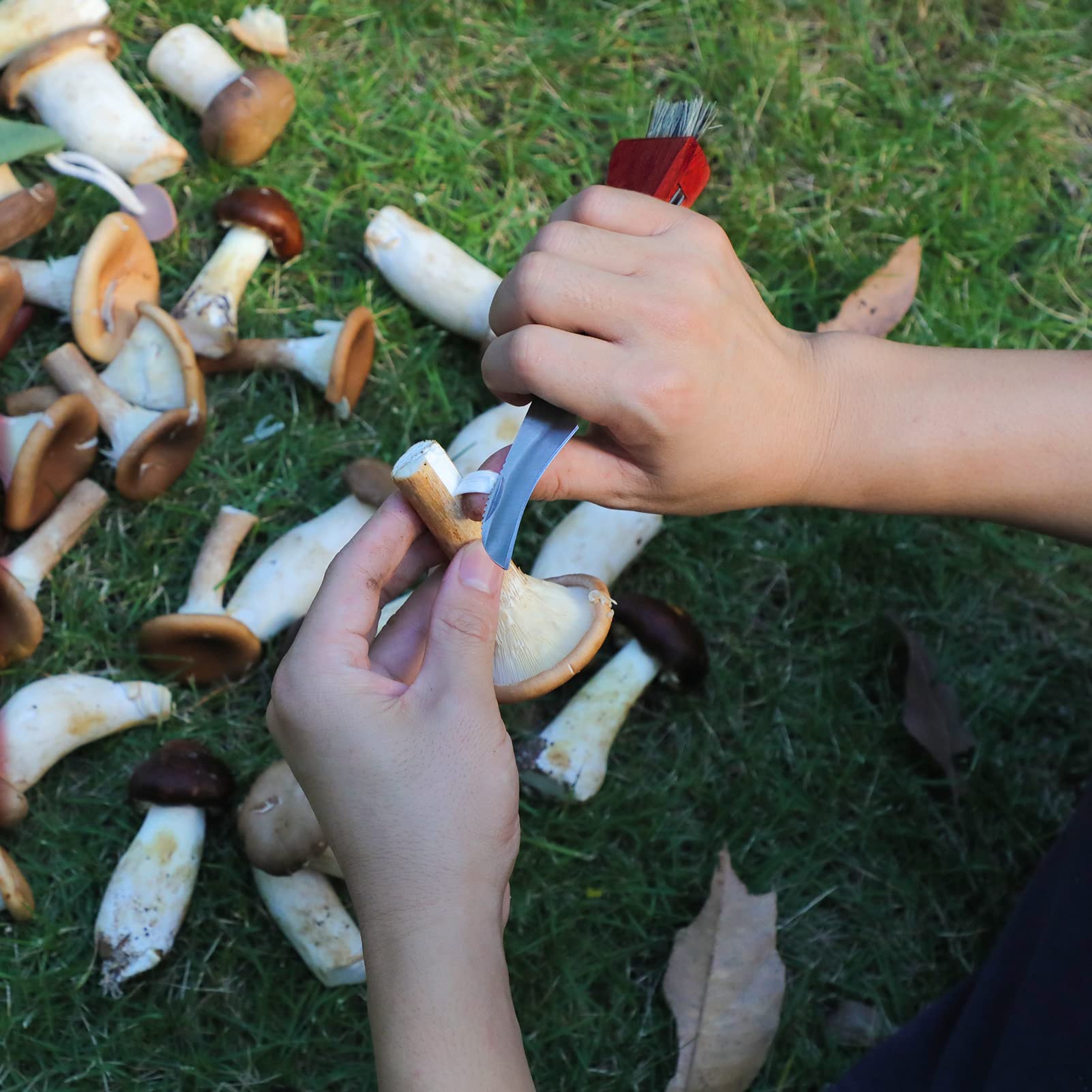 Foxyoo Mushroom Foraging Kit – Includes Foraging Bag, Mushroom Knife with Brush for Mushroom Hunting, Collecting