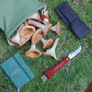 Foxyoo Mushroom Foraging Kit – Includes Foraging Bag, Mushroom Knife with Brush for Mushroom Hunting, Collecting