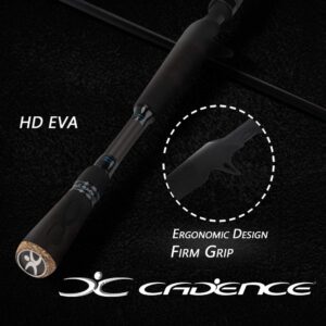 Essence lp Reel and CR7B Rod