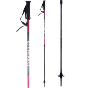 defiance junior red/black/white adjustable ski poles 2024