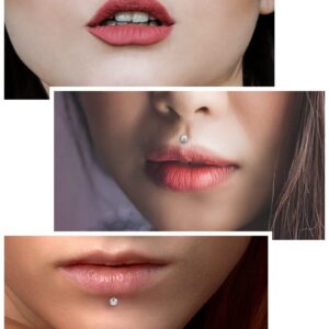 Vsnnsns 16G Lip Rings Stainless Steel Labret Jewelry Monroe Lip Rings Nail Cartilage Tragus Helix Earrings Studs Piercing Jewelry Medusa Piercing Jewelry for Women Men 16 Gauge Earrings 2MM CZ Silver