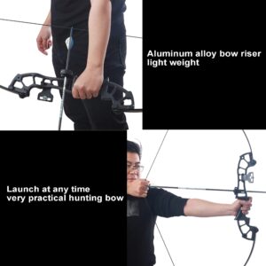 Bowfishing Bow Kit with 3pc Bowfishing Arrow 40lbs Takedown Metal Straight Bow Set Hunting Bow for Bow Fishing Archery Practice