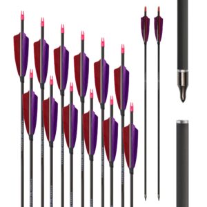 archery carbon arrow 31 inch 600 spine pure carbon with 100 grain screw tips， hunting arrows for compound & recurve bow 12pcs