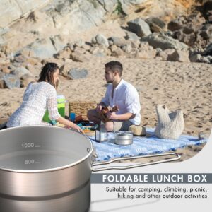 Lixada Camping Pot Stainless Steel Camping Cook Pot 1.5L Camping Cooking Pot with Lid and Folding Handle, Large Capacity Bento Pot Camping Cookware for Outdoor Backpacking, Hiking, Picnic