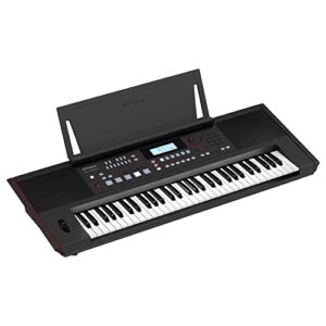 roland e-x50 electronic arranger keyboard – easy-to-use | stereo speakers | bluetooth | professional sounds | mic input | auto-accompaniment function, black