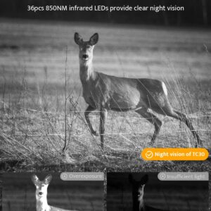 Trail Camera, 24MP 1080P Game Cameras with 850nm Infrared Night Vision, 65ft Motion Activated Deer Hunting Cam for Garden Wildlife Monitoring, IP66 Waterproof, 120° Wide Angle Detection, Easy Set Up