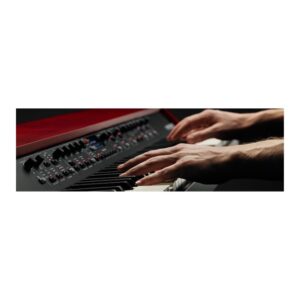 Nord Grand 88-Note Kawai Hammer Action Bundle with Ivory Touch with Soft Case and Dust Cover (3 Items)