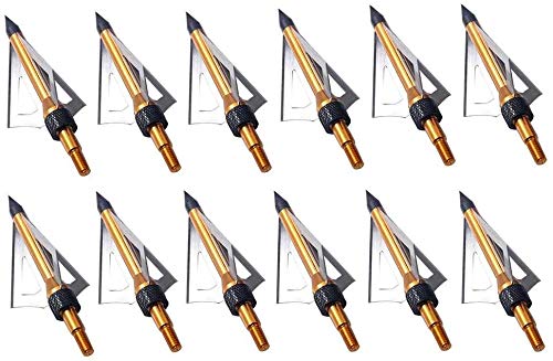 PG1ARCHERY 12 Pack 3 Fixed Blade Archery Hunting Broadheads 100 Grain with Case Arrow Head Screw-in Tips for Compound Bow & Crossbow (Golden)