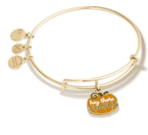 alex and ani connections expandable bangle for women, hey there pumpkin charm, shiny gold finish, 2 to 3.5 in