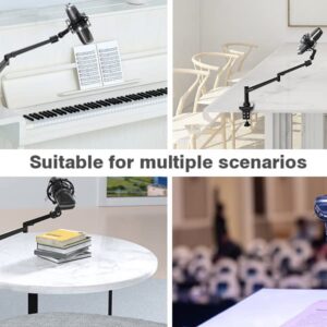 Smatree Mic Arm Desk Mount for Shure SM7B/SM58/MV7/AT2020 Mic, Shure SM7B Mic Stand, Metal Mic Arm Stand with 5/8" Adapter for Singing,Podcasts and Recording