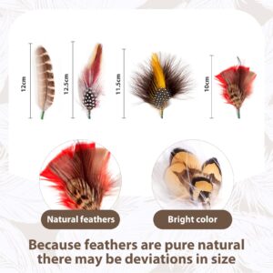 MIX BROWN Hat Feathers, Assorted Natural Feather Packs Accessories for Fedora Cowboy Hats, Pork Pie Trilby Hats (11 PCS)