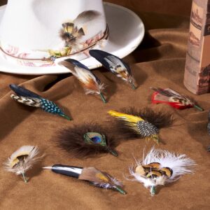 MIX BROWN Hat Feathers, Assorted Natural Feather Packs Accessories for Fedora Cowboy Hats, Pork Pie Trilby Hats (11 PCS)