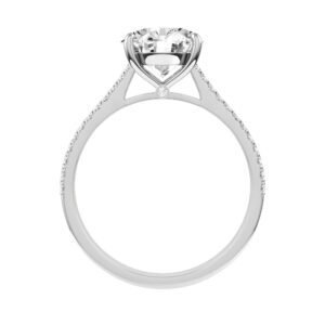 1-3 Carat (ctw) Center Moissanite engagement rings for women 10K 14k 18K gold ring Platinum Plated Silver Princess moissanite rings -3923