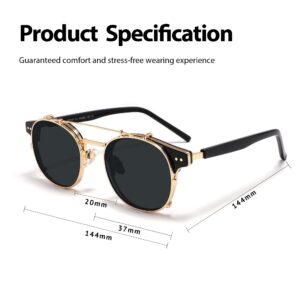 Technigadgets Pedro Vintage Sunglasses For Men (Gold Black)