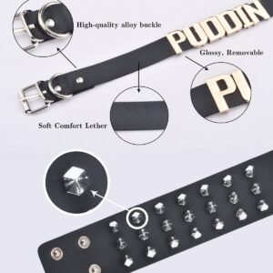 ABONDEVER Quinn Puddin Choker Halloween Set Adjustable Punk Leather Letter Collar Necklace Tattoo Stickers Rivets Spike Bracelet Halloween Harley Cosplay Accessories for Women (Black-B)