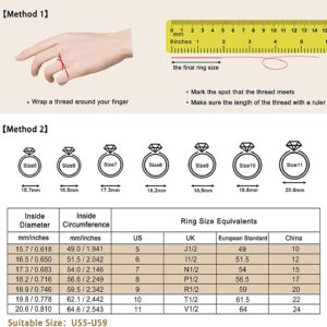 JO WISDOM Celtic Knot Rings for Women 925 Sterling Silver Heart Cut Birthstones Statement Rings Size 6 with 18K White Gold Plated