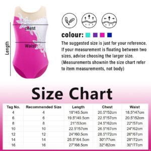 VernLan Gymnastics Leotards for Little Girls One-piece Sparkle Metallic Sleeveless Rhinestone Dancing Athletic Leotards Purple 6 Years