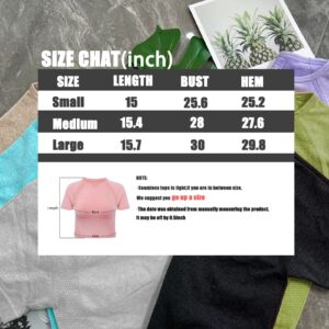 Workout Tops for Women Seamless Athletic Crop Tops Short Sleeve Cropped Tops Scoop Neck Basic Workout Shirts for Yoga,Grey