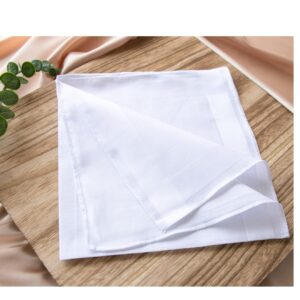 SrffbreMeOly Assorted Men's Handkerchief Plaid 100% Cotton Handkerchiefs Soft Hankies Pocket Square White 3Piecs, One Size