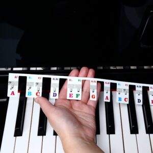 piano keyboard stickers, full-size piano rake key labels overlay removable for beginners kids (61 full keys)