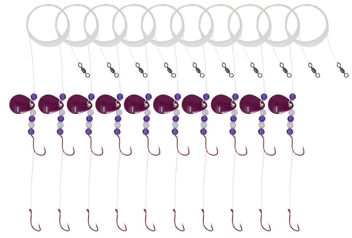 Tooth Shield Tackle 10 Pack Walleye Crawler Harness Spinner Rig #2 Fluorescent Series Colorado Blade Perch Bass Trout Spinner Rigs (Fluorescent Purple)