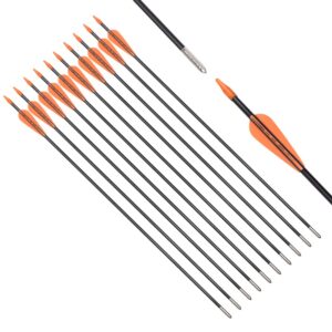 6875 fiberglass arrows archery 24 inch target shooting safetyglass recurve bows suitable for youth children woman beginner 12pcs/pack (tigerspot orange vanes)