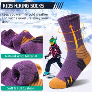 Kids Hiking Walking Socks, Boys Girls Toddlers Merino Wool Warm Socks,Wicking Cushion Crew Socks (6 Pairs B, 4-8 Years)